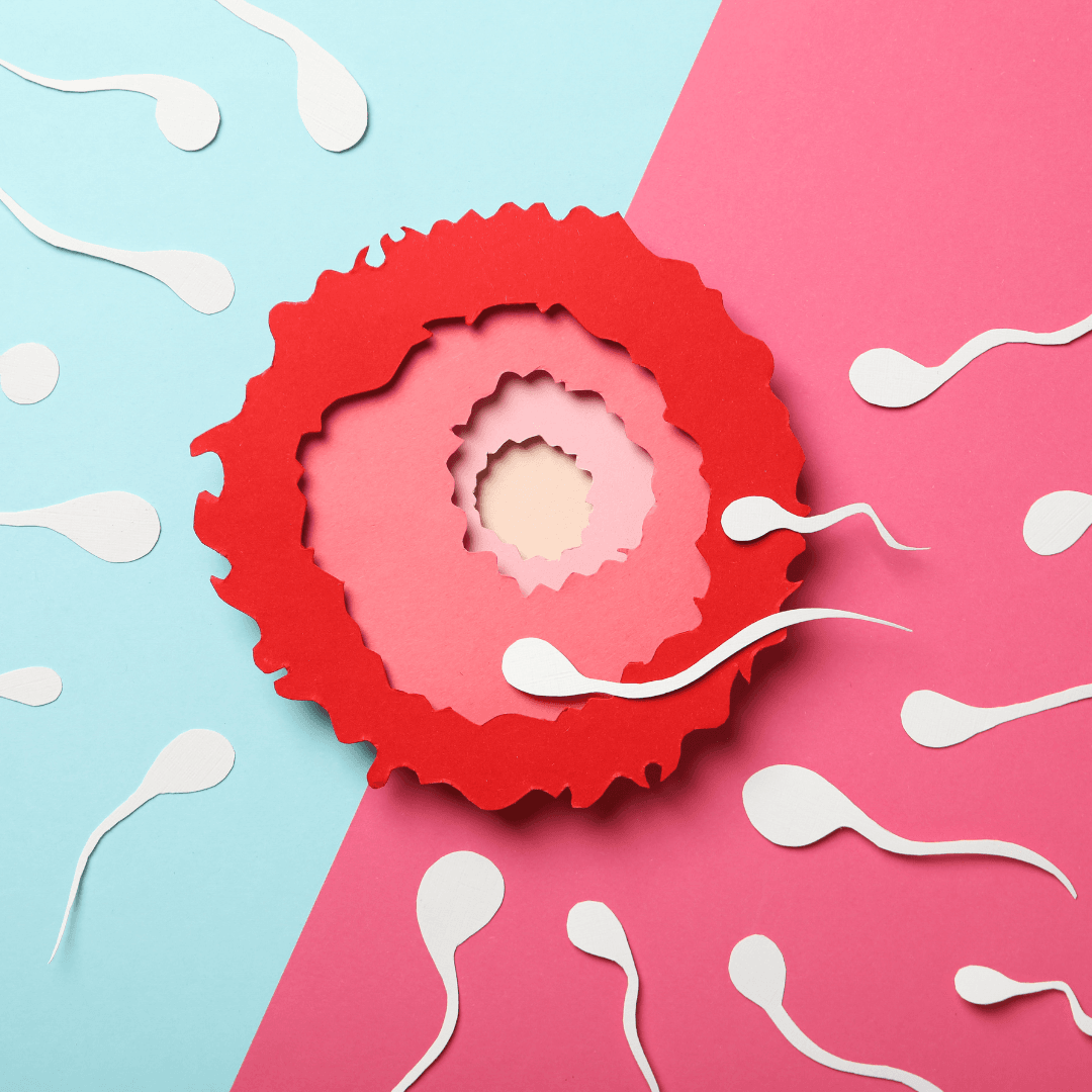 Using Fertility-Awareness Based Methods for Contraception or ...